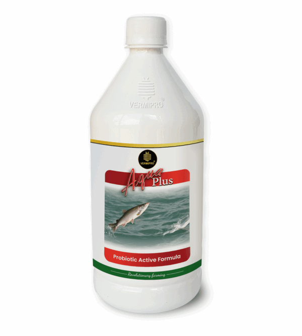 Aqua Plus Active Probiotic Formula | Africa To World